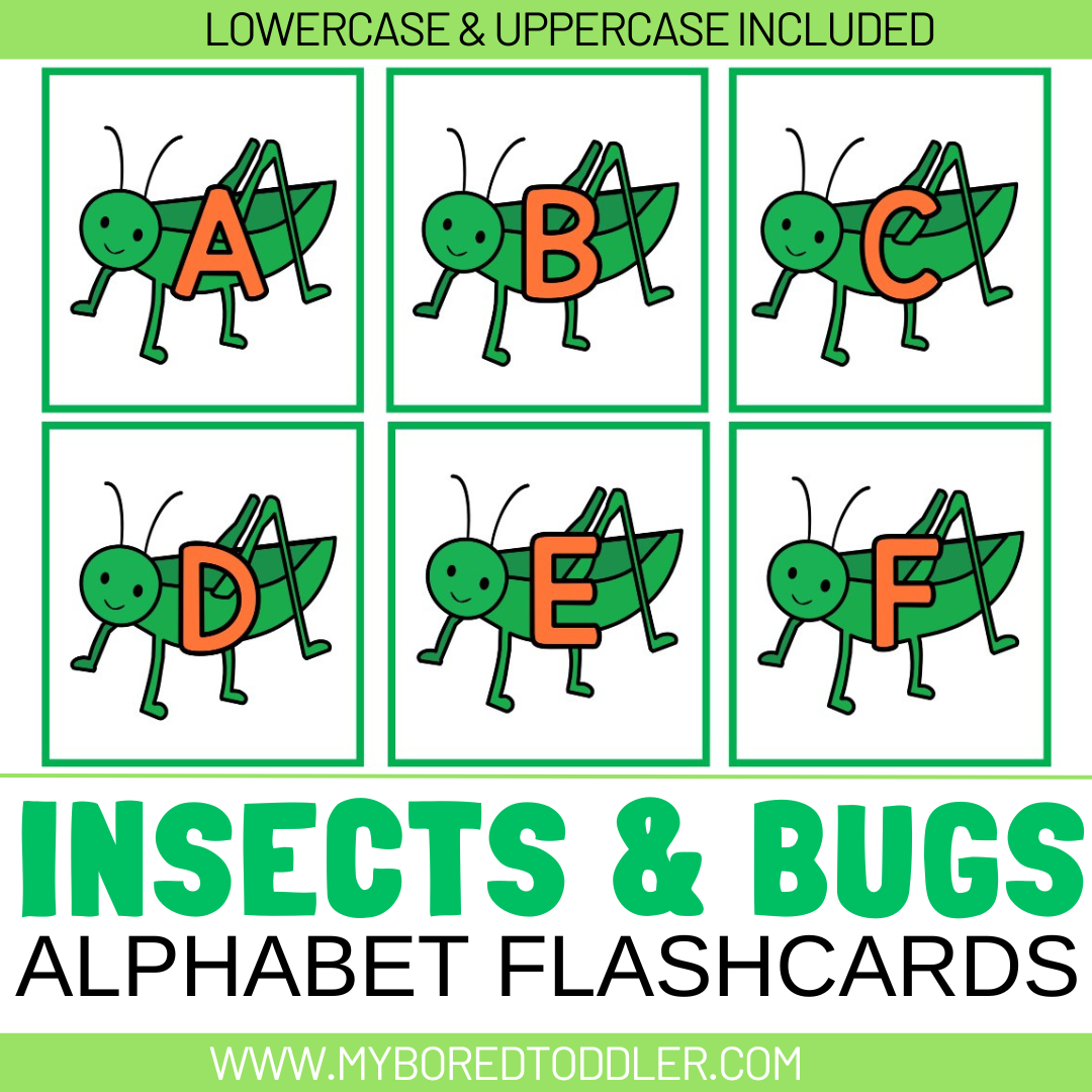 Insects & Bugs Grasshopper Alphabet Flashcards Lowercase & Uppercase ...