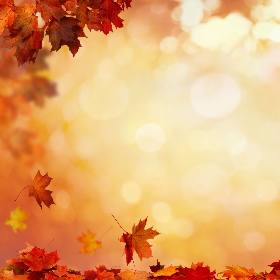 Autumn/Fall – My Bored Toddler