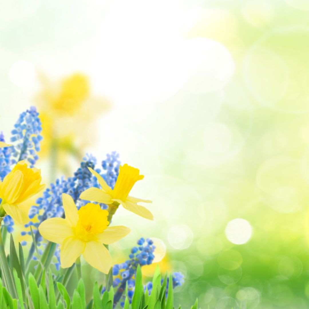 Spring – My Bored Toddler