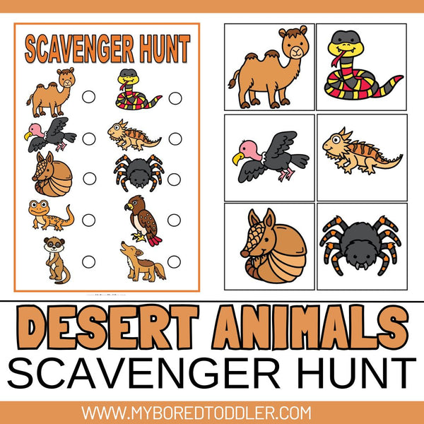 Desert Animal Habitat Scavenger Hunt – My Bored Toddler