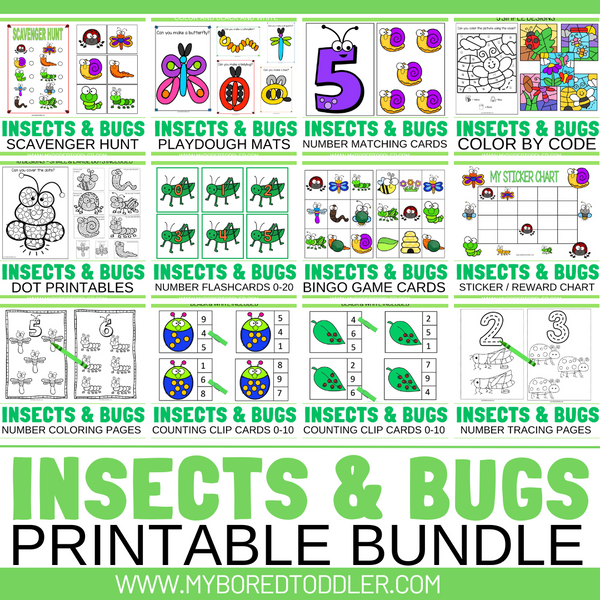Insects & Bugs Toddler / Preschool Bundle - FLASH SALE – My Bored Toddler