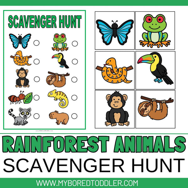 Rainforest Animal Habitat Scavenger Hunt – My Bored Toddler