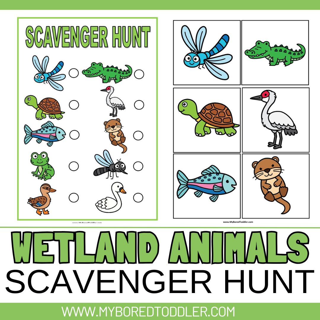 Wetland Animal Habitat Scavenger Hunt – My Bored Toddler